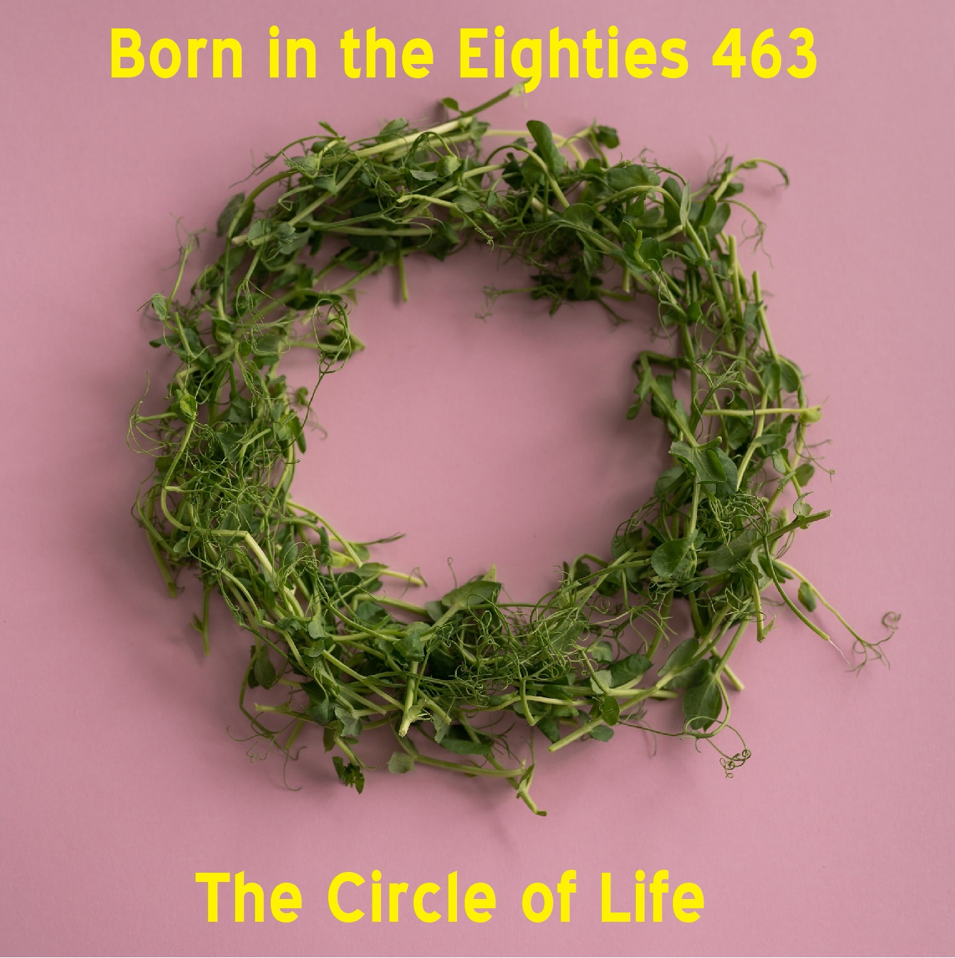 Born in the Eighties 463: The Circle of Life - Born in the Eighties